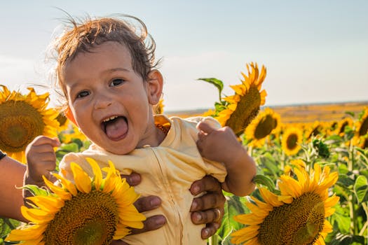 Sunflower Growth Stages: A Fun Guide for Families with Kids to Explore ...